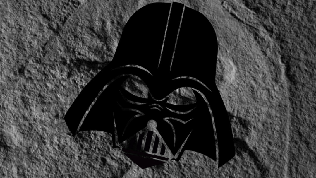 Descubren al abuelo de las tortugas que no tenía caparazón | Código ...