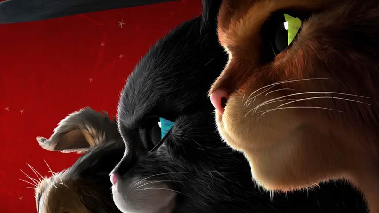 Diferencias entre 35 mm, 70 mm y 16 mm en el cine | Código Espagueti